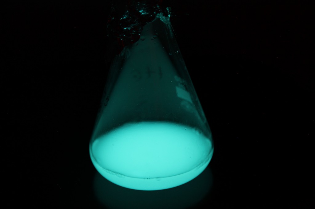 bio.display » Photobacterium Phosphoreum in a bottle